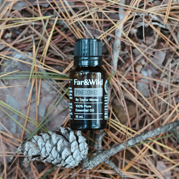 PINECONES BY TAYLOR MORAN – Far&Wild