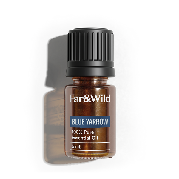 BLUE YARROW – Far&Wild